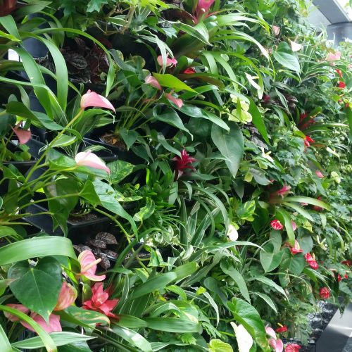 VersiWall® GP Planter - Tileworks