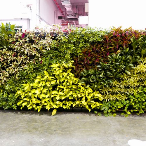 VersiWall® GP Planter - Tileworks