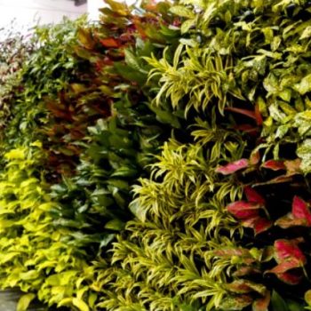 VersiWall® GP Planter - Tileworks